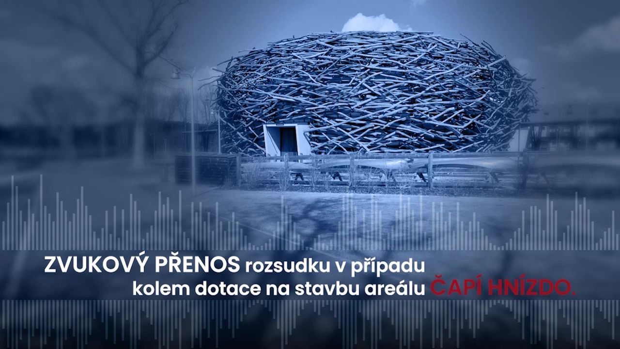 Soud Babiše i Nagyovou zprostil obžaloby v kauze Čapí hnízdo | Stream